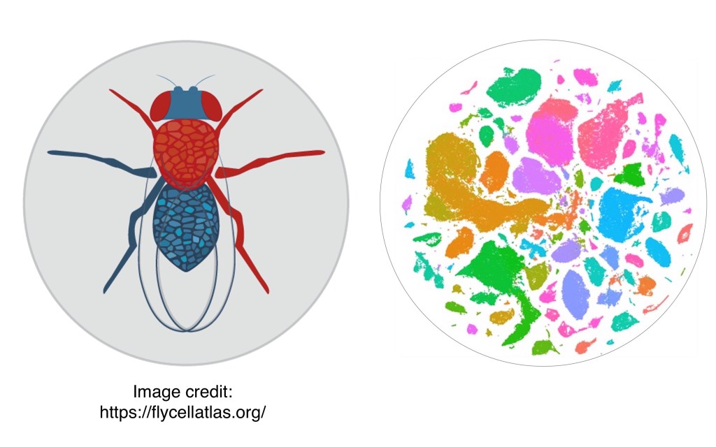 Research – Hongjie Li Lab