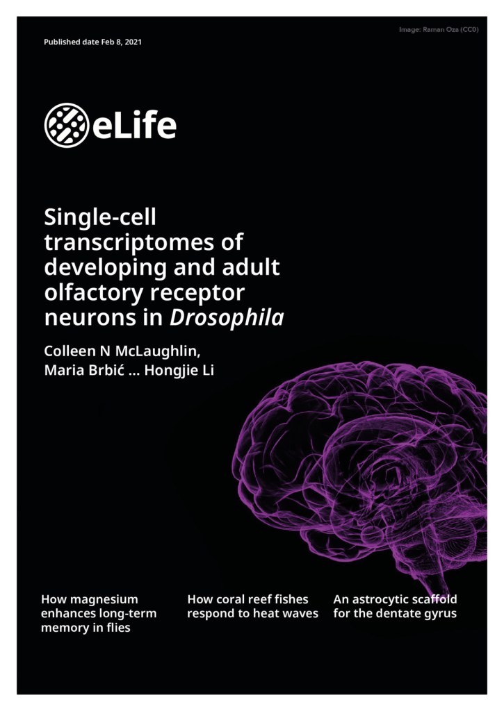 Publication – Hongjie Li Lab