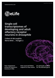 Publication – Hongjie Li Lab