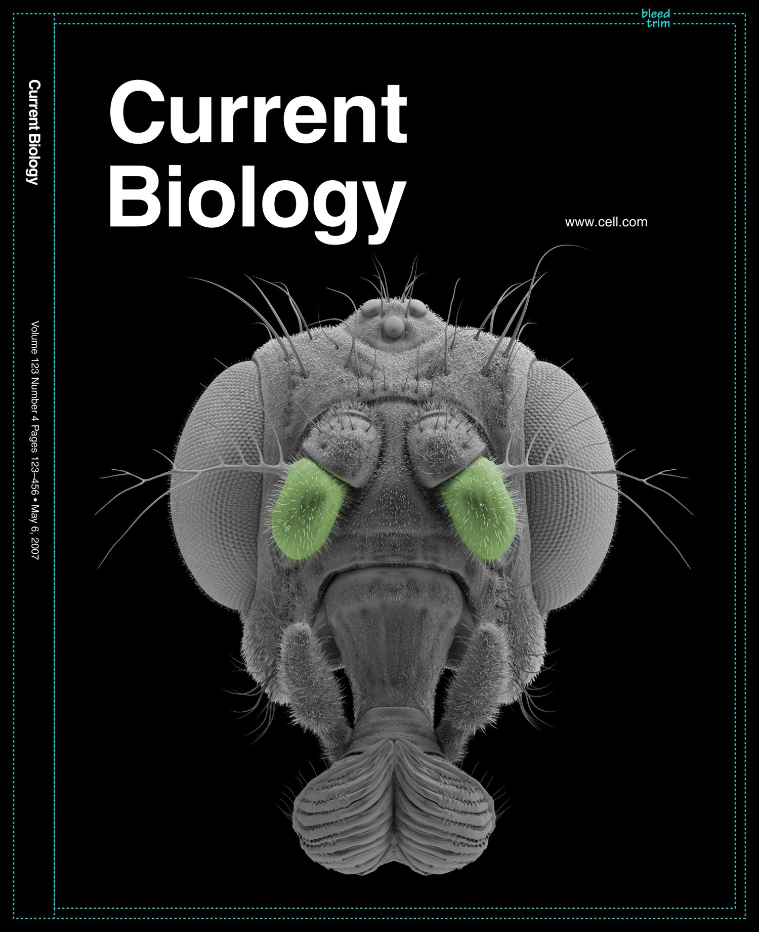 Publication – Hongjie Li Lab
