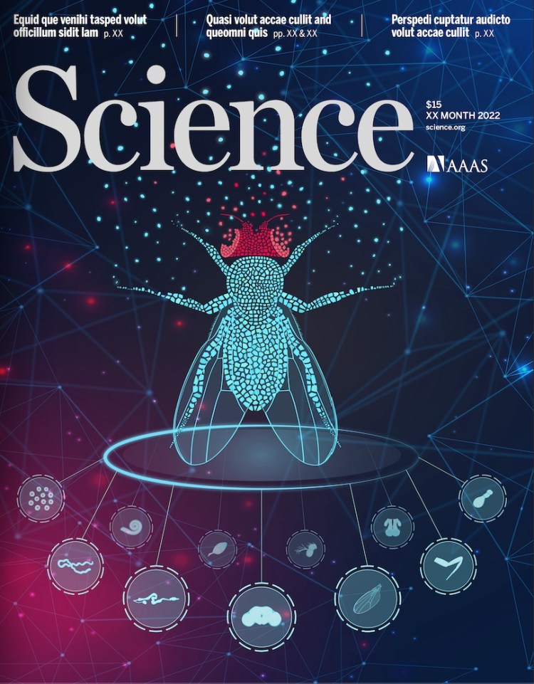 Publication – Hongjie Li Lab