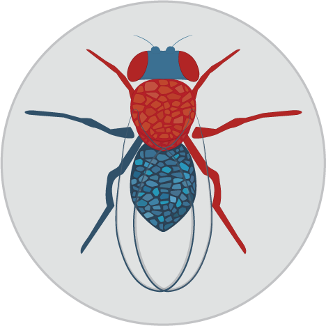 Resources – Hongjie Li Lab