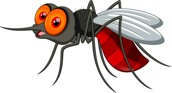 Mosquito Cell Atlas (MCA) – Hongjie Li Lab