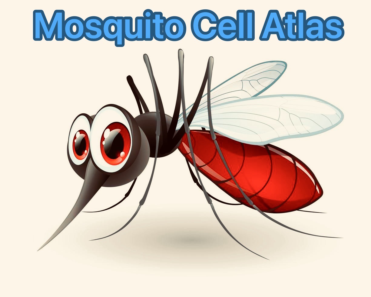 Resources – Hongjie Li Lab